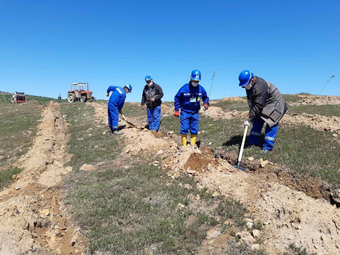 Spring tree planting on Bucim’s TSF tailing dam – Bucim